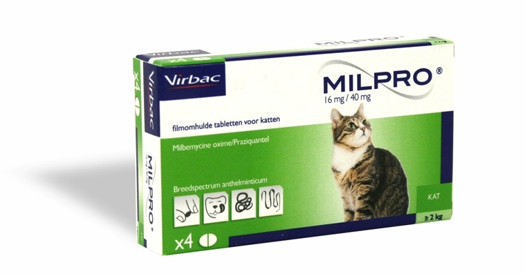 Virbac Milpro Grote Kat | Ruim assortiment | Voordelig