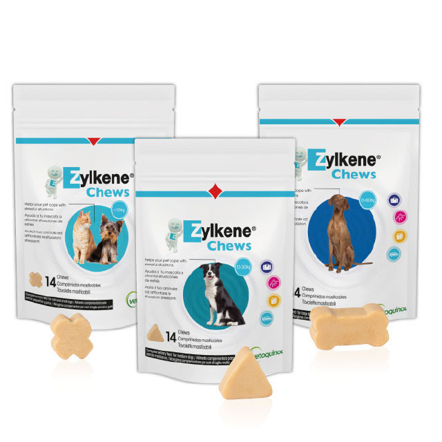 Zylkene Chews voor de grote hond 450 mg | Rustgevend supplement